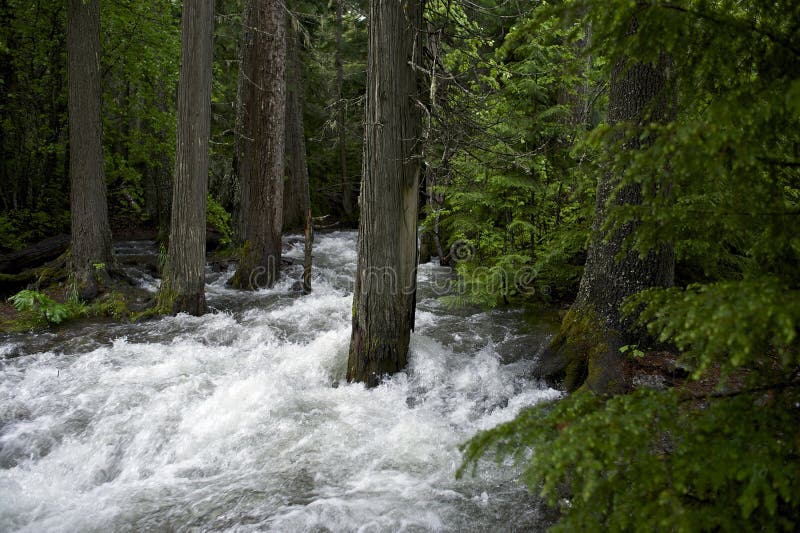 Overflow Mountain Stream stock image. Image of weather - 27877267