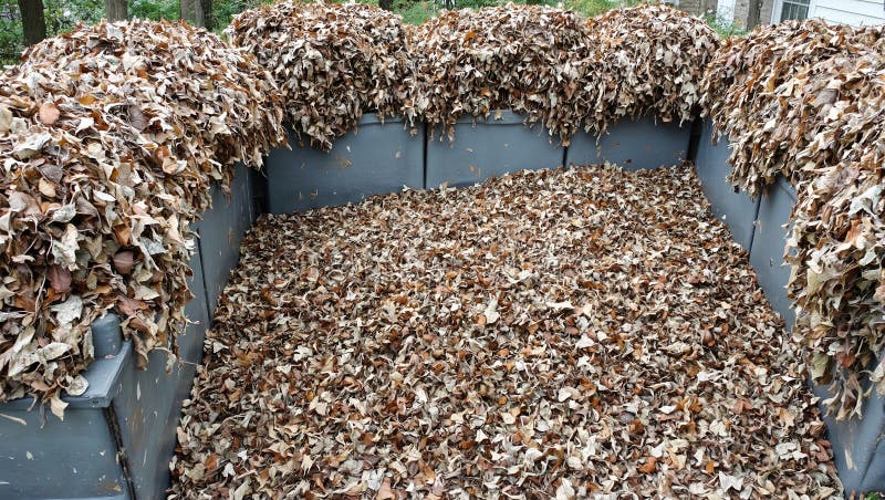 Overflowing Compost Bin Filled with Dense Dry Leaves Stock Illustration ...