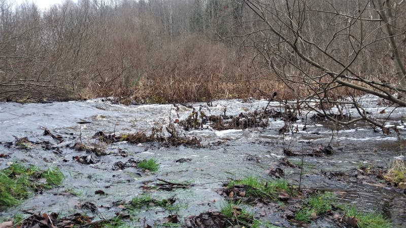 The ditch overflowed stock photo. Image of rock, pond - 273052444