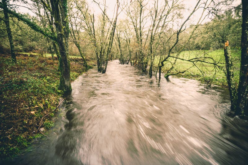Overflowing river stock photo. Image of stream, smooth - 274437282