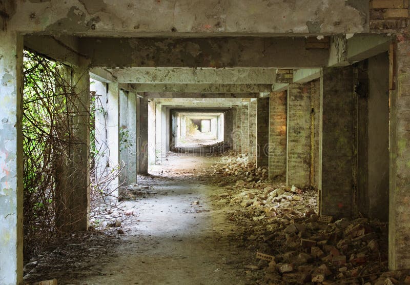 Overgrown Abandoned Hallway Stock Photo - Image of abandoned, hallway ...