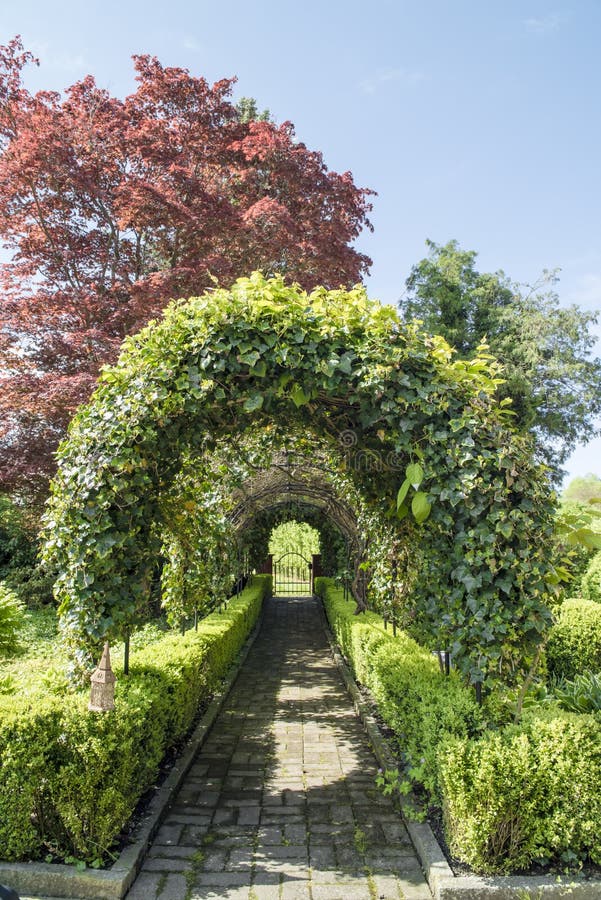Path with overgrown arches stock photo. Image of overgrown - 53829064