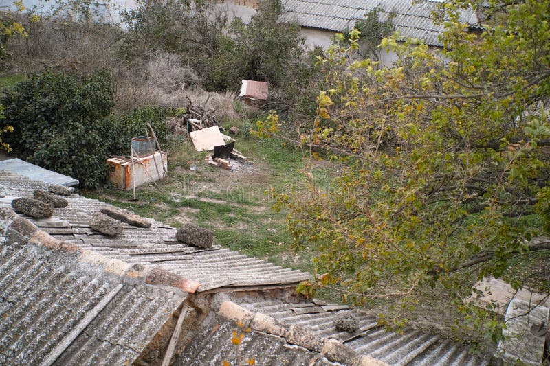 Overgrown Backyard with a Garbage Stock Photo - Image of trash, roofs ...
