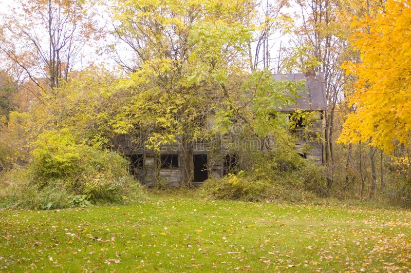 Overgrown barn stock photo. Image of building, seasons - 11559920