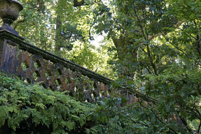 Overgrown Bridge Railing on Sao Miguel Island Stock Photo - Image of ...
