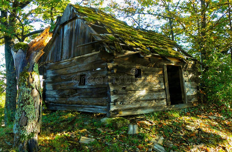 Overgrown Cabin in the Woods Stock Photo - Image of garden, landscape ...