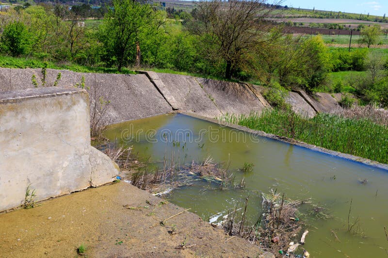 Overgrown Canal with Algae and Reeds in Rural Landscape Stock Image ...
