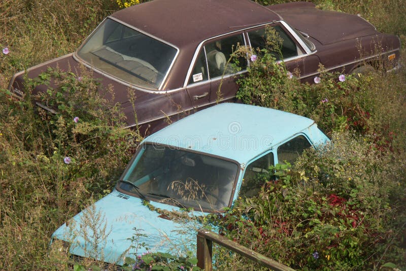 Overgrown cars stock photo. Image of rusty, machine, forget - 342408