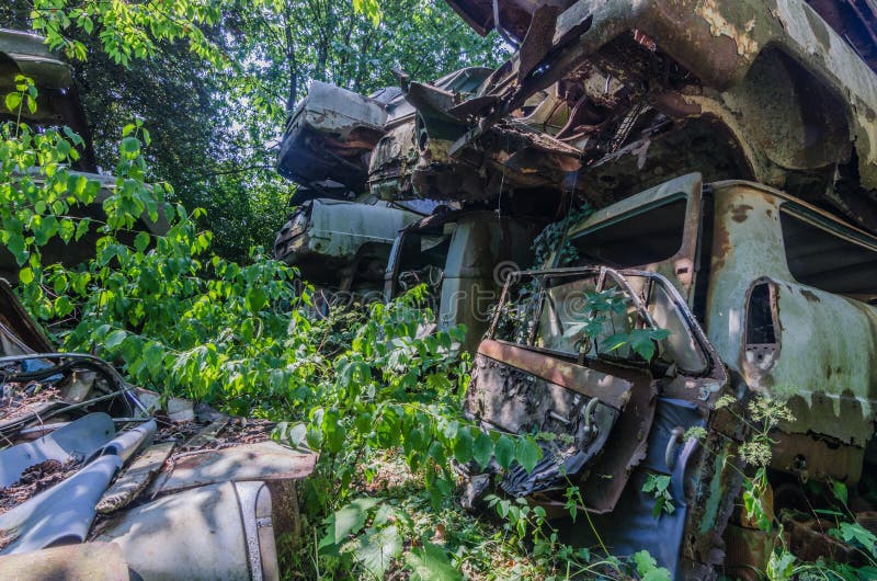 Overgrown Cars in the Forest Stock Photo - Image of mechanics, classic ...