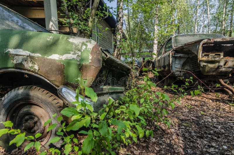 Overgrown Cars in the Forest Stock Photo - Image of mechanics, classic ...