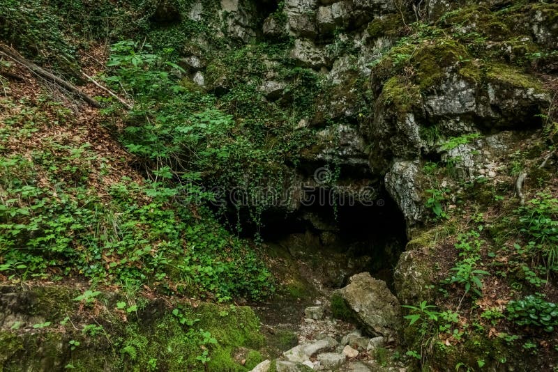 Overgrown Cave with a Source of Water in the Nature Stock Photo - Image ...