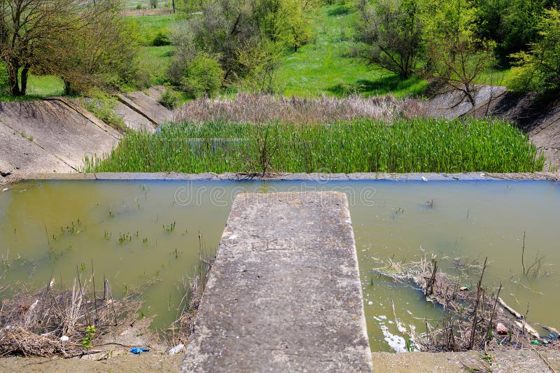Overgrown Concrete Canal with Murky Water Surrounded by Lush Greenery ...