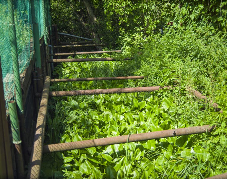 Ditch, protected with mesh stock image. Image of farmland - 253331287