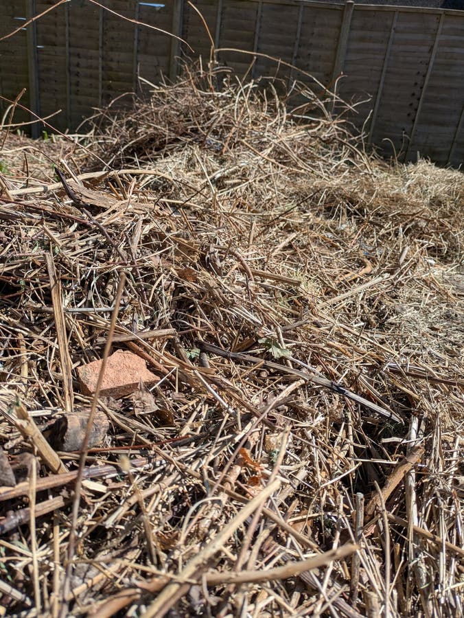 Overgrown Dried Garden Grass Brambles and Dried Branches Piles Ready ...