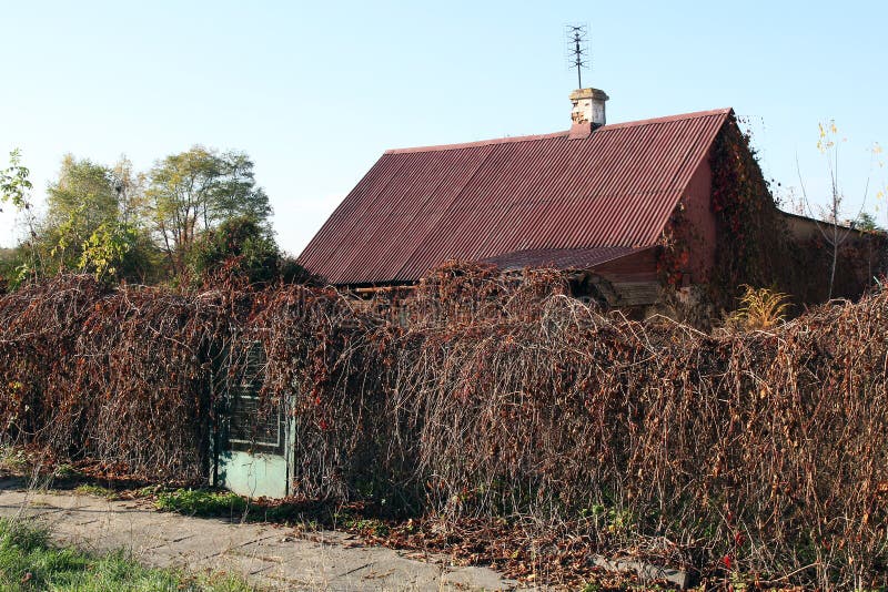 An Old Iron Fence with a Closed Rusty Gate Prohibits Travel To the ...