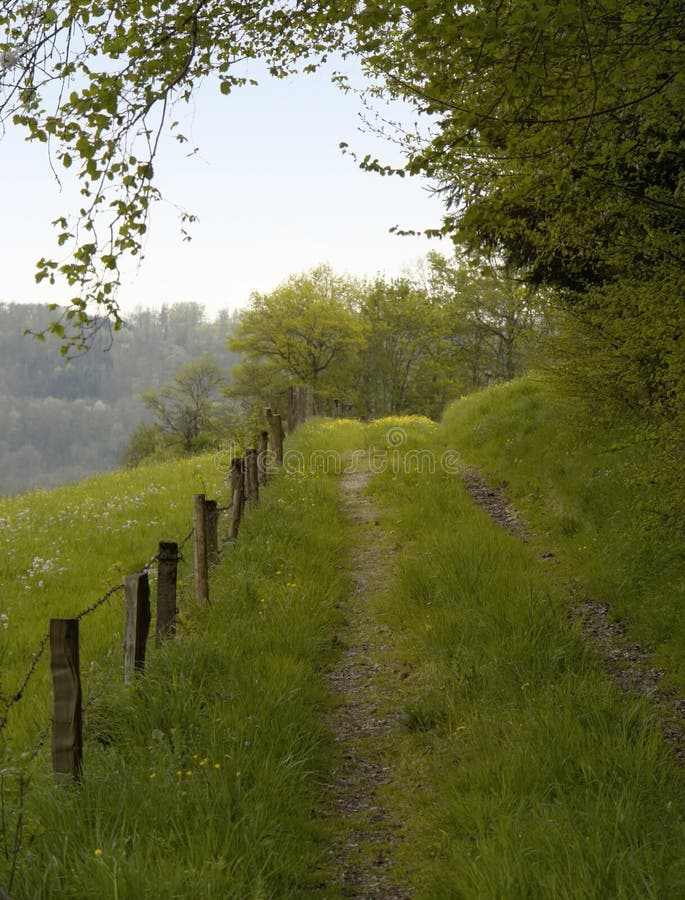 Overgrown field path stock photo. Image of hayfield, harmony - 34284338
