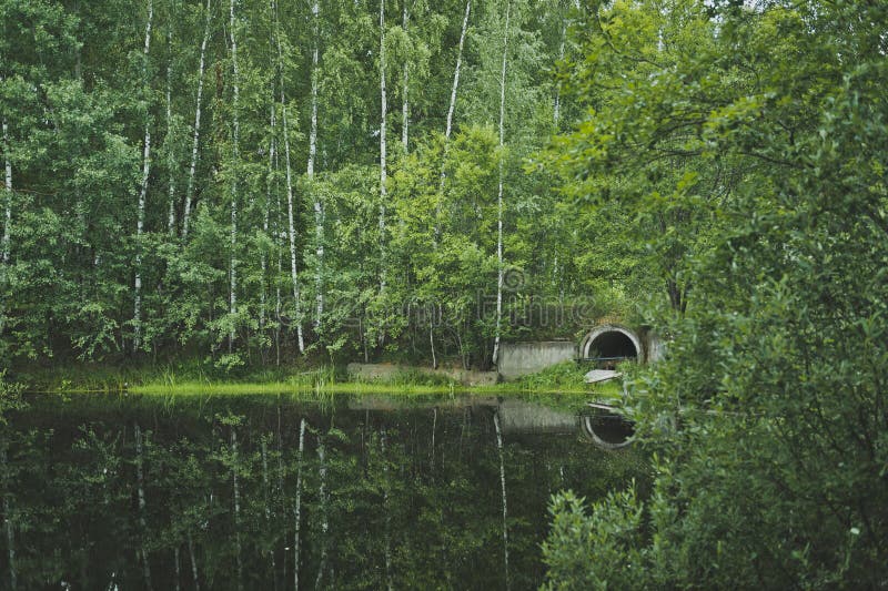Forest Pond with a Causeway and Bridge 8334. Stock Image - Image of ...