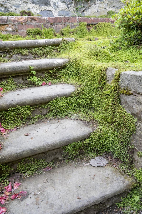 Overgrown garden steps stock photo. Image of stone, plants - 90056336