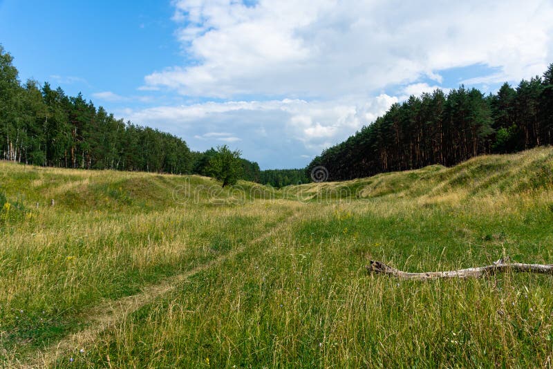 Overgrown Grass Ravine. Blue Sky with Clouds Stock Photo - Image of ...