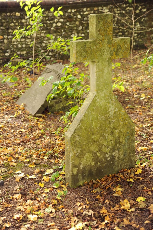 Overgrown cemetery stock photo. Image of grave, historic - 34297796
