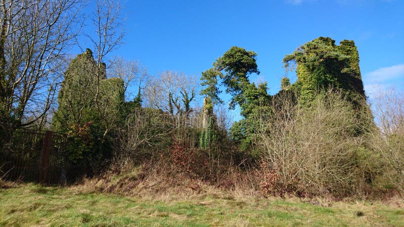 Overgrown Castle Ruin Summer Ireland Stock Photo - Image of hill, irish ...
