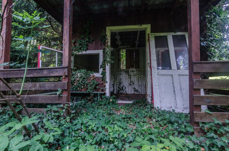 Overgrown House in the Forest Stock Photo - Image of collapse, wall ...