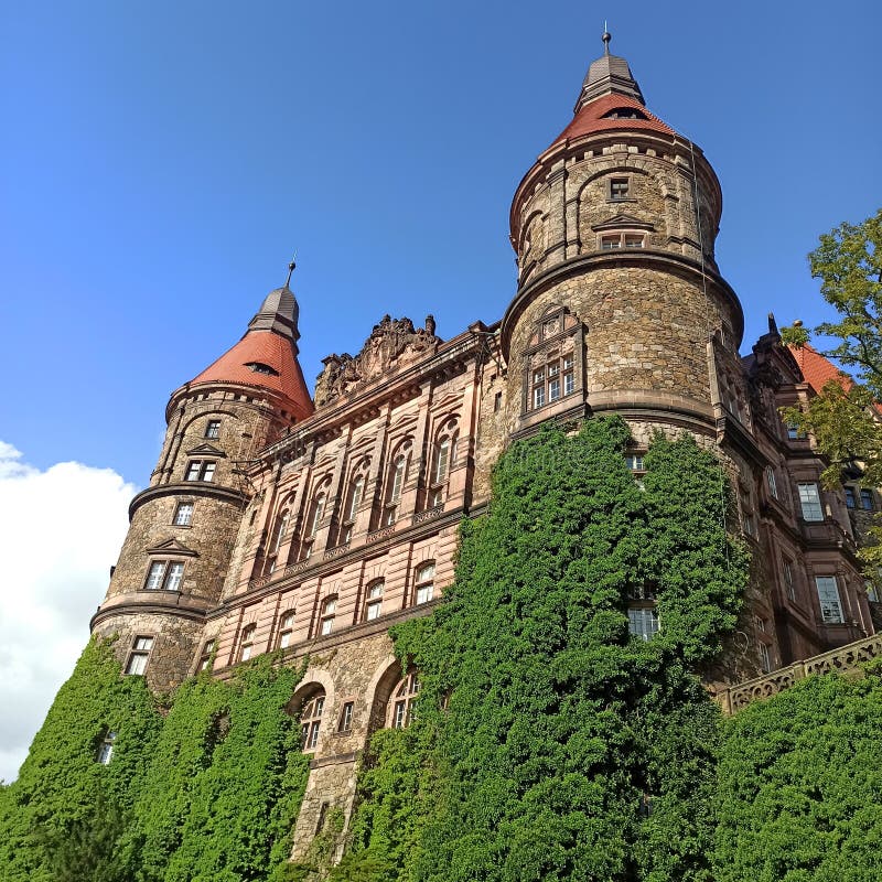 Overgrown Huge Castle Perspective View Editorial Photo - Image of ...