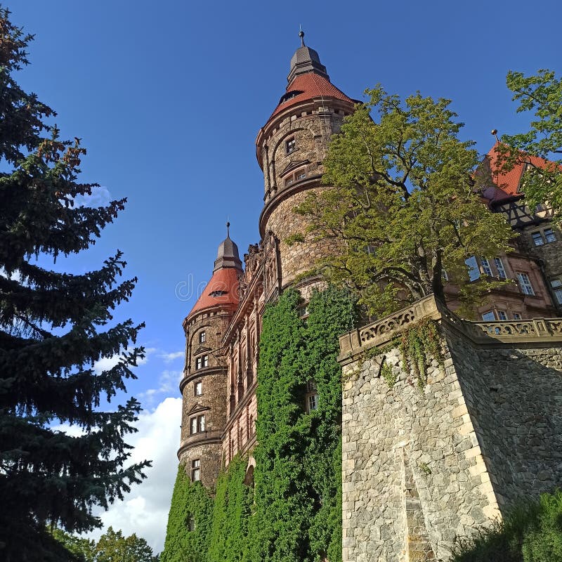 The Overgrown Castle in the Forest Stock Image - Image of reserve ...
