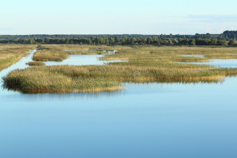 Overgrown Lake Picture. Image: 21092336