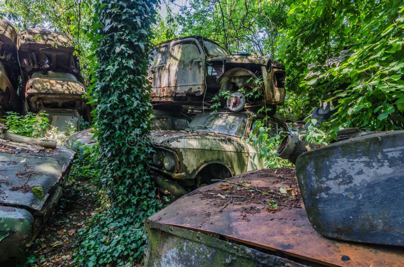 Overgrown Cars in the Forest Stock Photo - Image of mechanics, classic ...