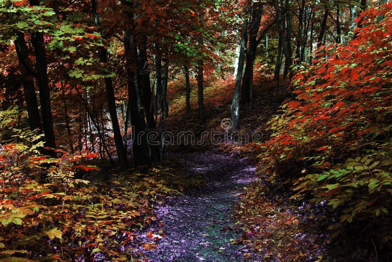 Path Going To Sea In Miami Beach Stock Photo - Image of cloud ...