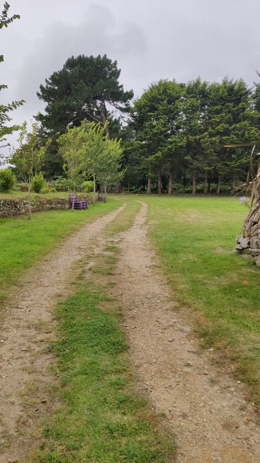 Overgrown Pathway in the Countryside with Trees Under Cloudy Sky ...