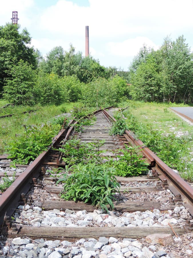 Overgrown railroad track stock image. Image of perspective - 69281075