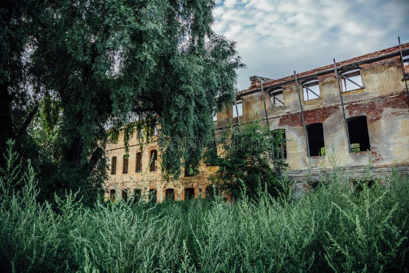 Overgrown Ruins of Abandoned Building Stock Image - Image of broken ...