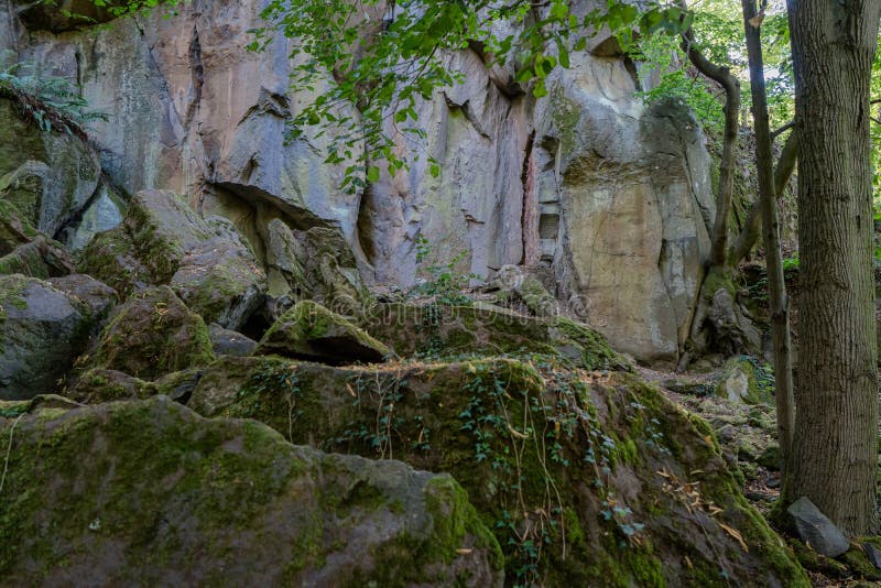 An Overgrown Stage in Front of Rock Wall in a Forest. Stock Photo ...