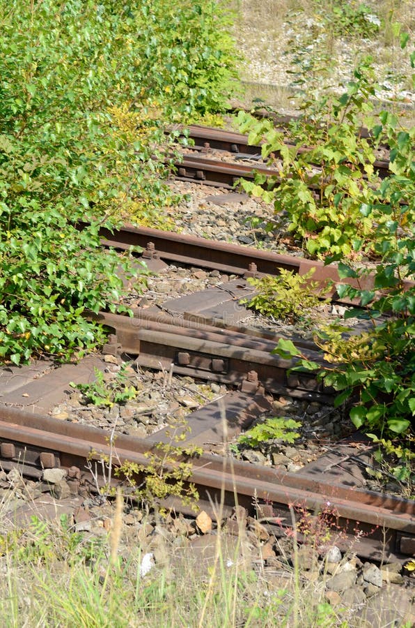1,063 Overgrown Rails Stock Photos - Free & Royalty-Free Stock Photos ...