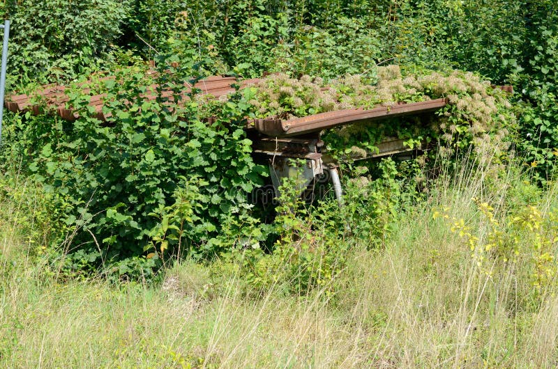 1,914 Overgrown Train Stock Photos - Free & Royalty-Free Stock Photos ...