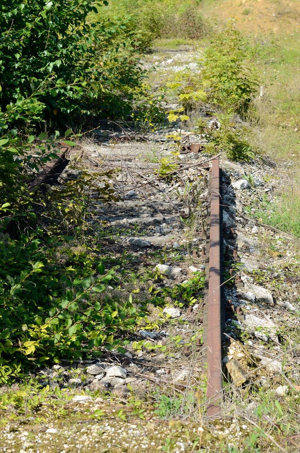 Overgrown train rails 6 stock photo. Image of railway - 114292606