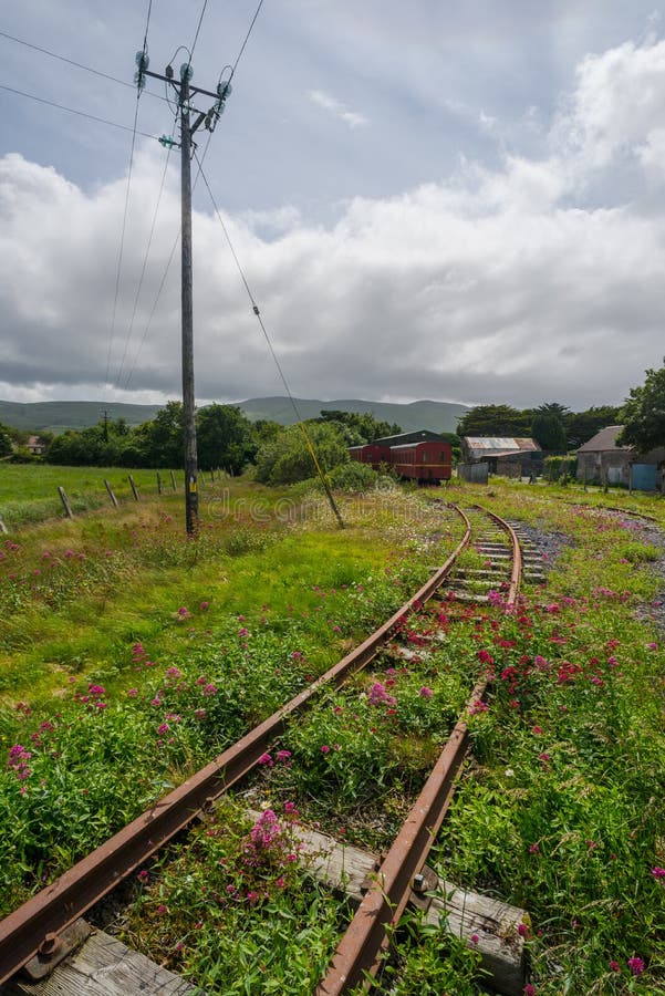 Overgrown Train Tracks Landscape Stock Photo - Image of railway, nature ...