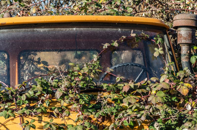 Overgrown vehicle stock image. Image of starting, vehicle - 39376157