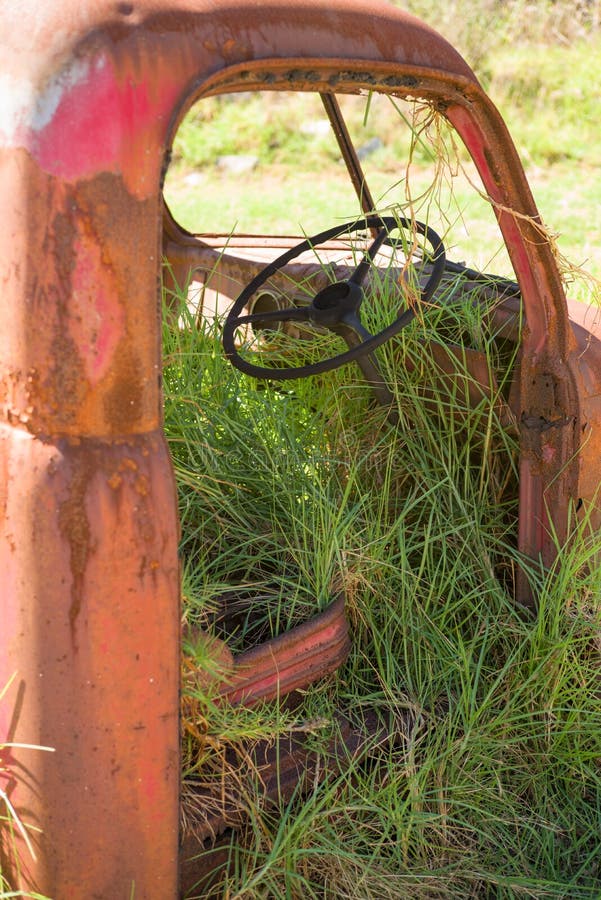 Overgrown vehicle stock image. Image of starting, vehicle - 39376157