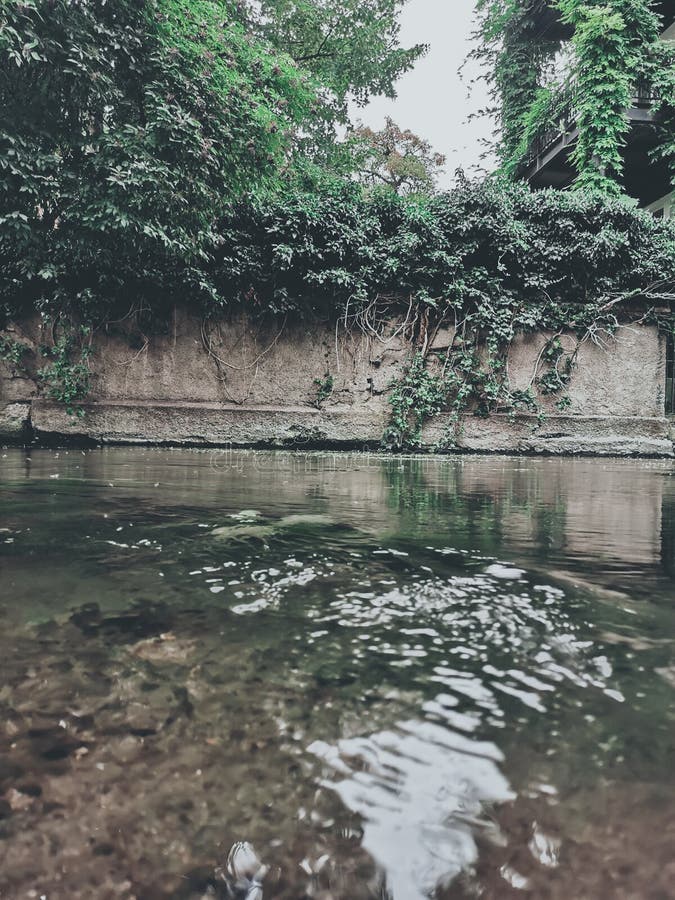 Overgrown Wall and the River Flows. Stock Photo - Image of nature ...