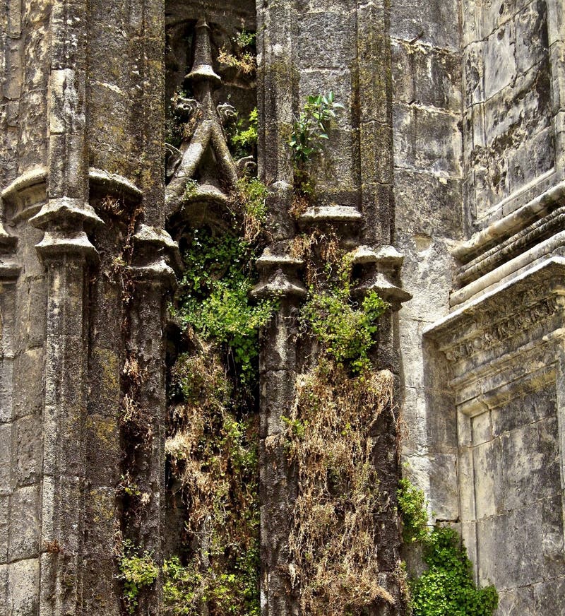 Overgrown Wall of Seville Cathedral Stock Image - Image of overgrown ...