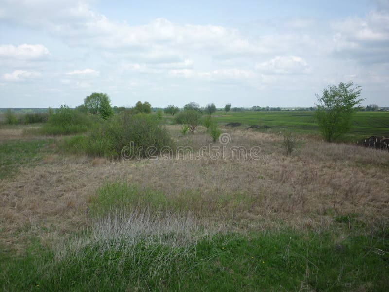 Sprawling Bushes of Sown Fields Stock Photo - Image of sown, rural ...