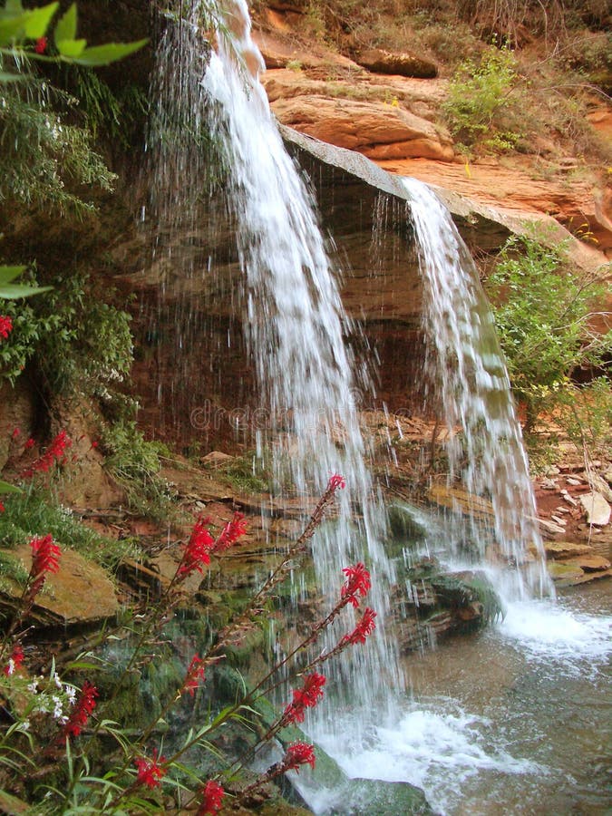 Overhanging Double Falls stock image. Image of zion, falls - 264127