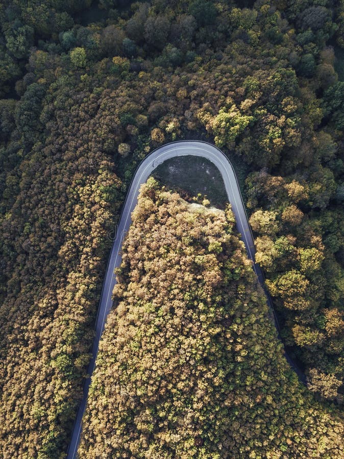 Overhead Aerial Shot of a Curved Road in the Forest Hills Stock Photo ...
