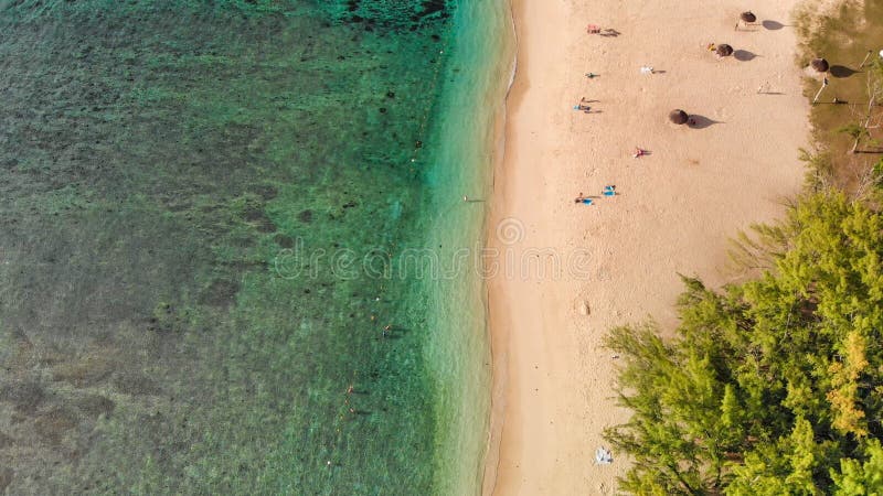 Overhead Aerial View of Beautiful Sandy Beach with Vegetation Stock ...