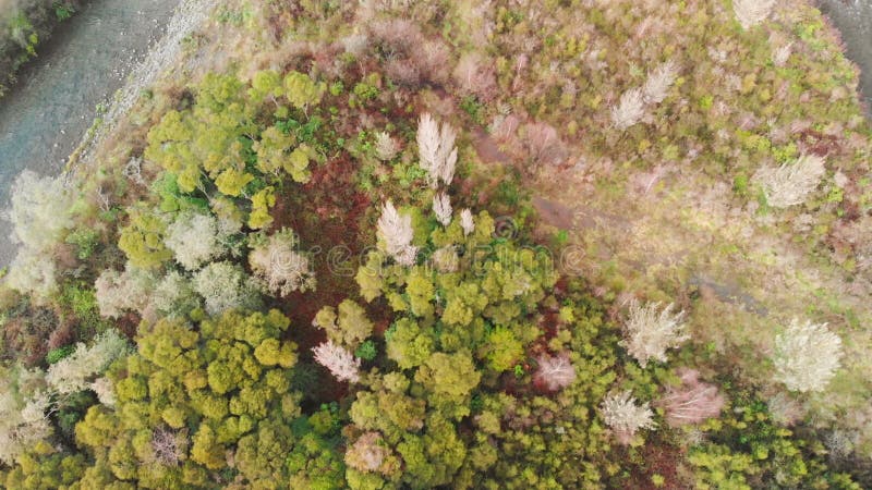 Overhead Aerial View of River and Trees Stock Video - Video of outdoor ...