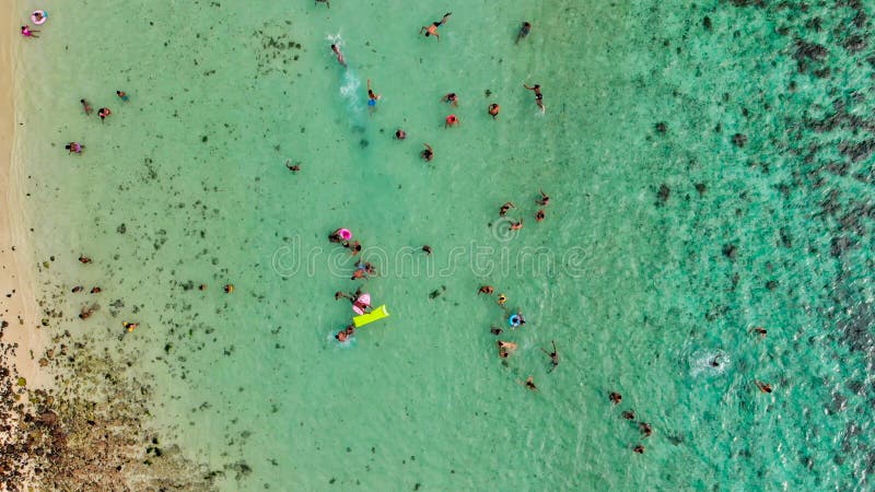 Overhead Aerial View of Swimmers on a Beautiful Beach from a Drone ...