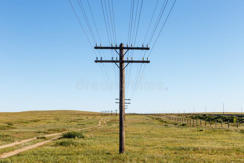 Overhead Line on Wooden Supports in the Mongolian Steppe Stock Photo ...